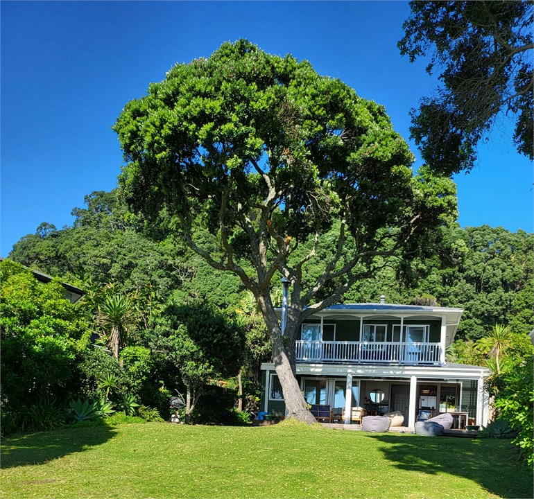 Belle Vue - Absolute Beachfront - Ohope Beach Beach House for rent | Holiday Houses