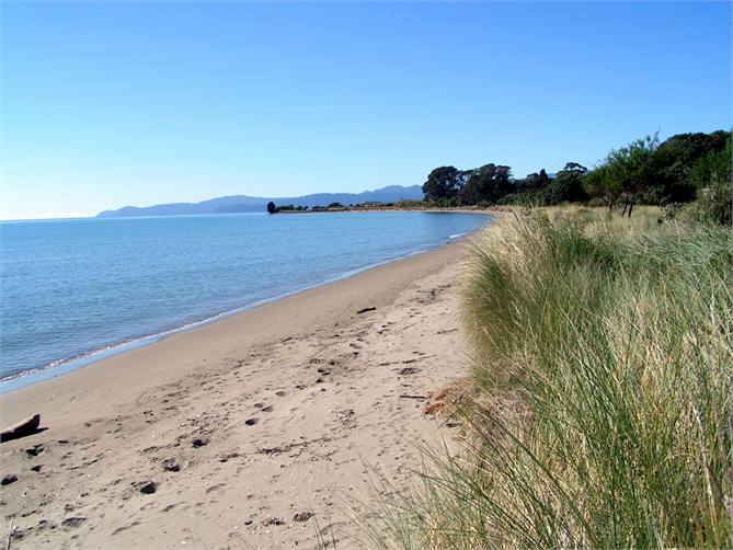 Patons Rock Holiday Cottage - Patons Rock Bach for rent | Holiday Houses