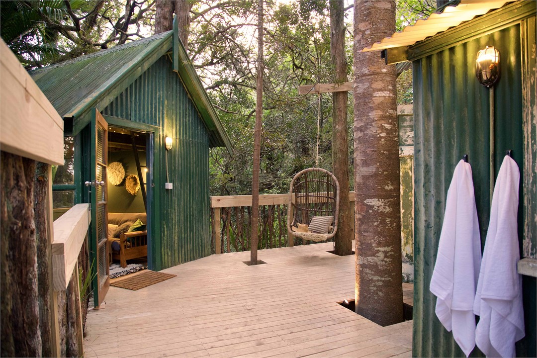 Kauri Tree Hut - Mangawhai Cabin for rent | Holiday Houses